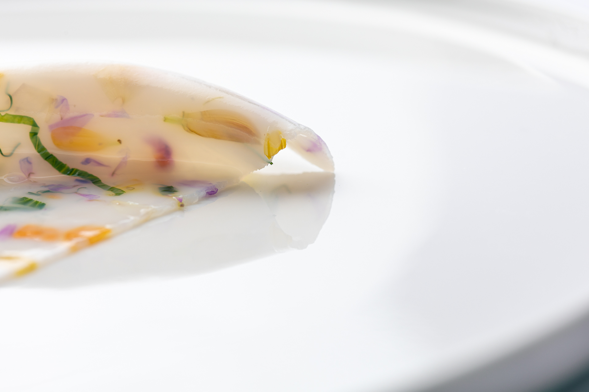 Commercial 2021 World Tour III - RAW - 原映像攝影工作室 / Stay Weird Photography