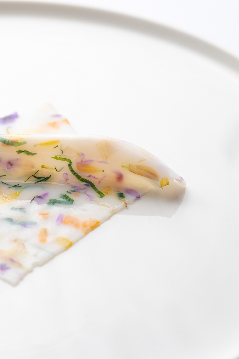 Commercial 2021 World Tour III - RAW - 原映像攝影工作室 / Stay Weird Photography